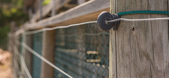 Electric Security Fencing Installation Melbourne | Australian Electric ...